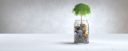 Comprendre les Fonds de Dotation : Une Introduction pour les ...